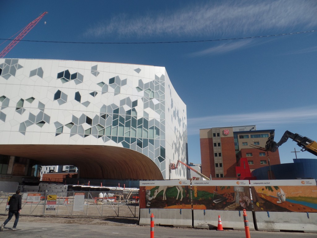 New Downtown Library | Susan Calder
